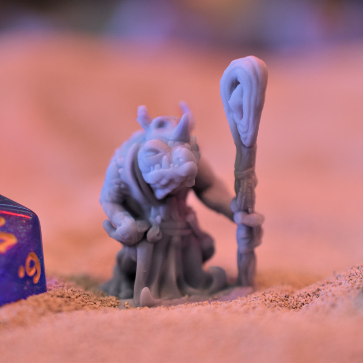 3D Printable Frog Shaman - Support Free by Arcane Hound