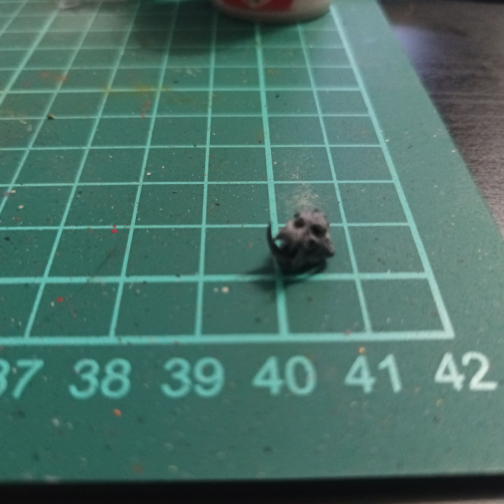 3D Printable Saberbeast skull for wargaming by SabertoothCollectibles
