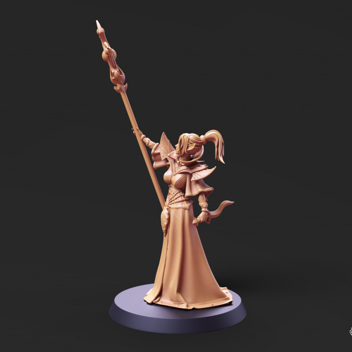3D Printable Drow Cleric Pose 3 - 4 Variants and 2 Pinups by PSMiniatures