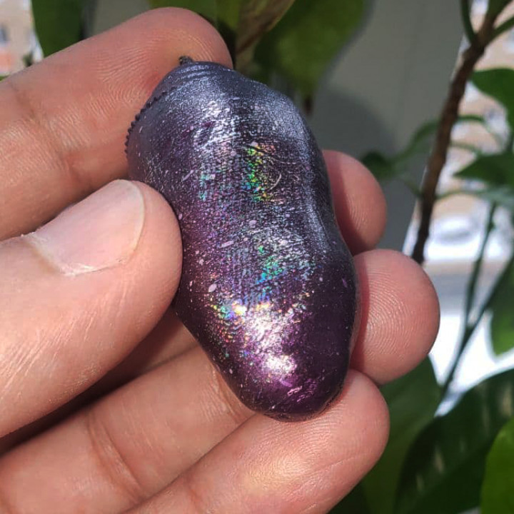 3D Printable Chrysalis / Pupa by Frederico David Sena