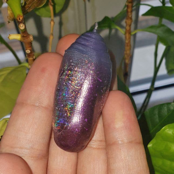 3D Printable Chrysalis / Pupa by Frederico David Sena