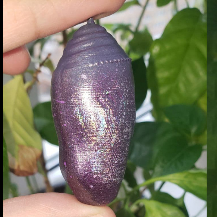3D Printable Chrysalis / Pupa by Frederico David Sena