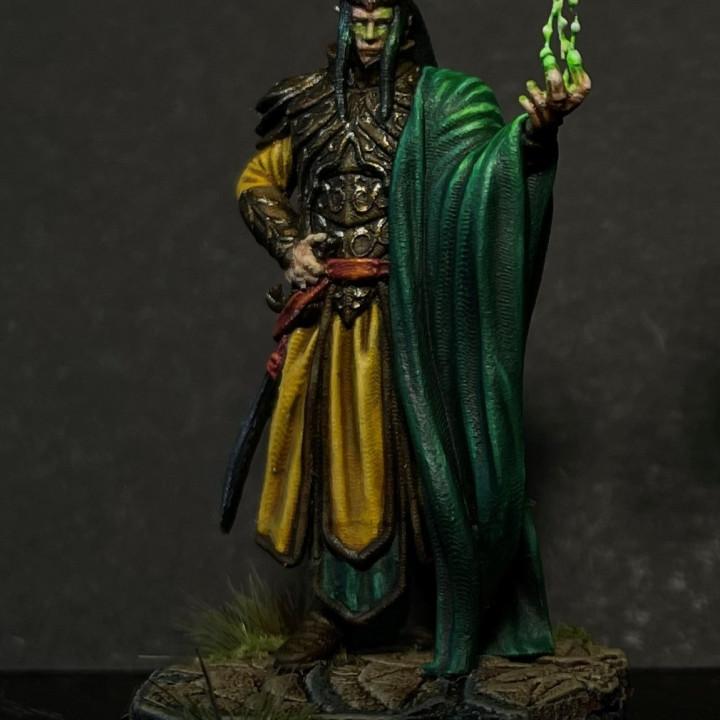 3D Print of Highborn Elf by RumaKalju