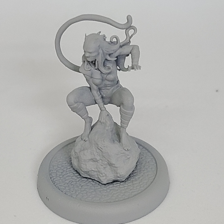 3D Printable Pantha by TX Terrain Express