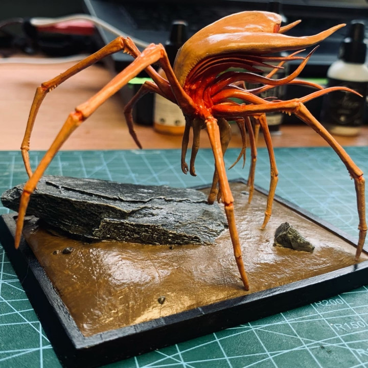 3D Print of Alien parasite by 11908