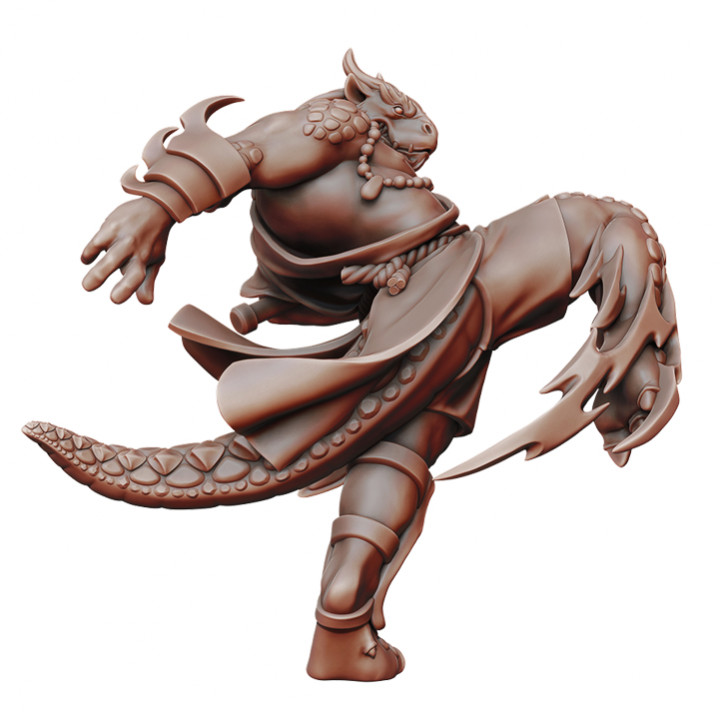 3D Printable Dragonfolk Monk by Manuel Boria