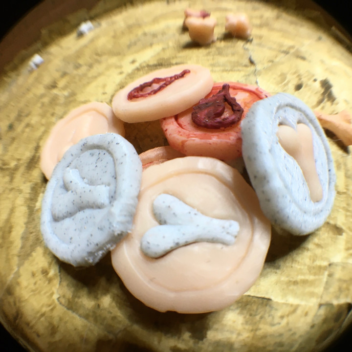 3D Printable Teeth and Tokens of Inscryption by David