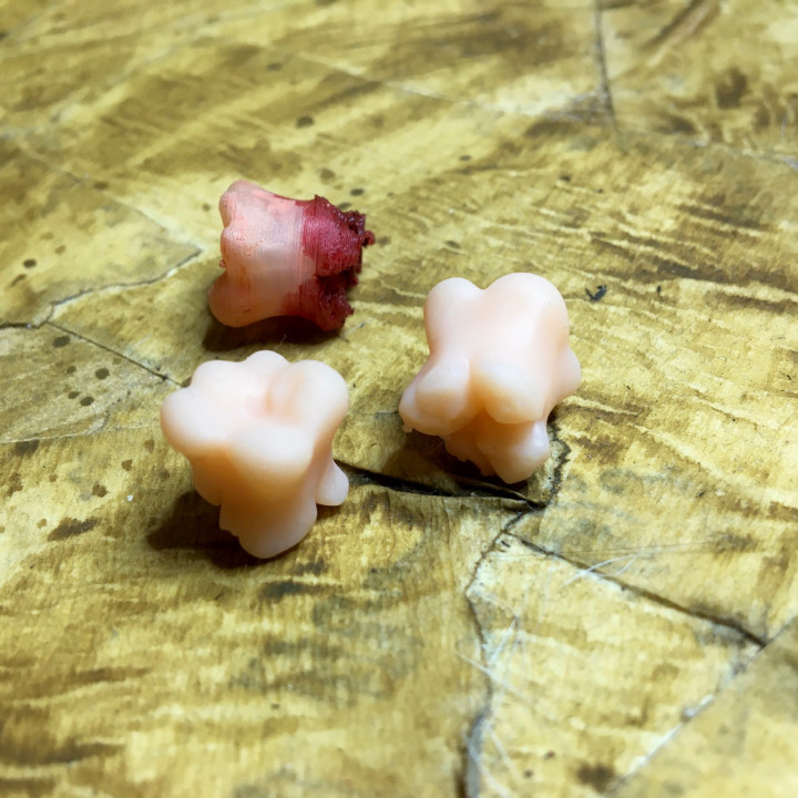 3D Printable Teeth and Tokens of Inscryption by David