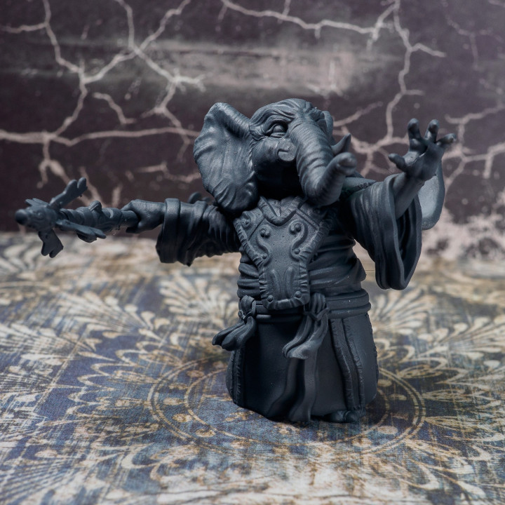 3D Printable (Pre-supported) Elephant Folk Mage by Naga Minis