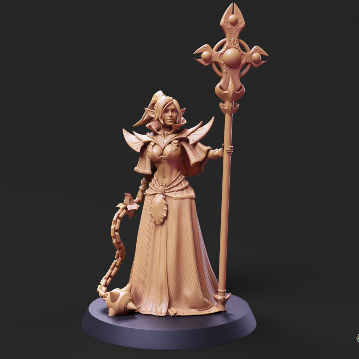 3D Printable Drow Cleric Pose 4 - 4 Variants and 2 Pinups by PSMiniatures