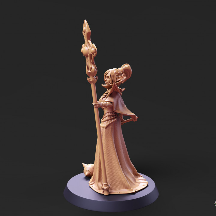 3D Printable Drow Cleric Pose 4 - 4 Variants and 2 Pinups by PSMiniatures