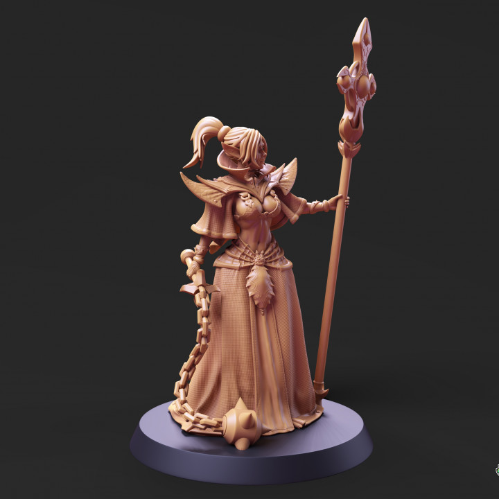 3D Printable Drow Cleric Pose 4 - 4 Variants and 2 Pinups by PSMiniatures