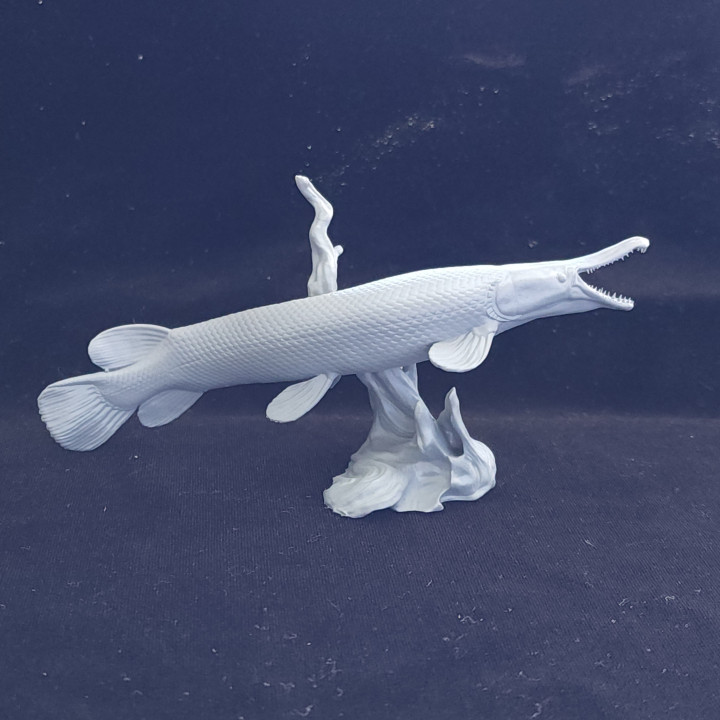 3D Printable Alligator Gar Atractosteus spatula by Hellbender Museum