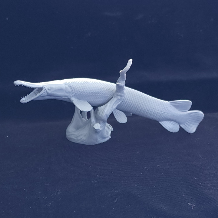 3D Printable Alligator Gar Atractosteus spatula by Hellbender Museum