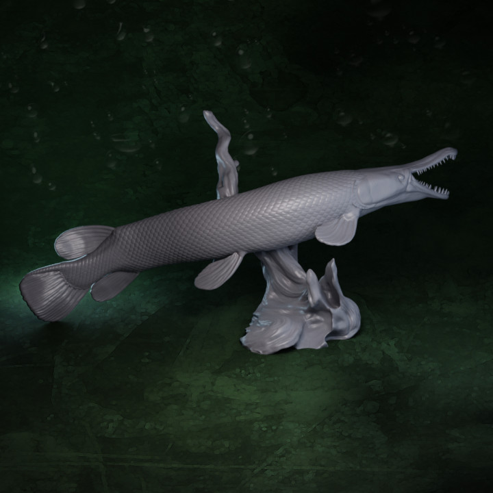 3D Printable Alligator Gar Atractosteus spatula by Hellbender Museum