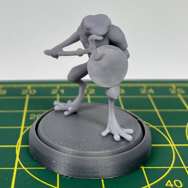 3D Print of Bullywug - Tabletop Miniature by Virr