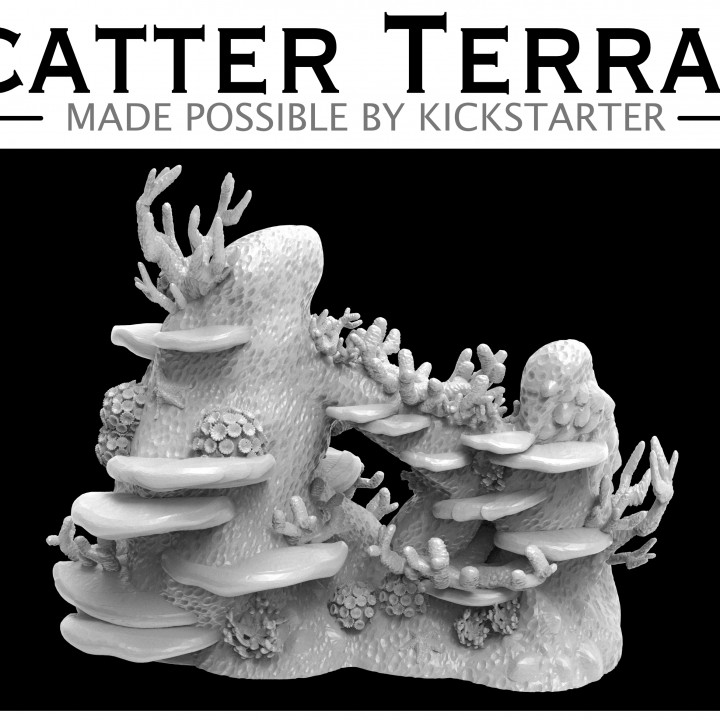 3D Printable Coral Reef by M3DM