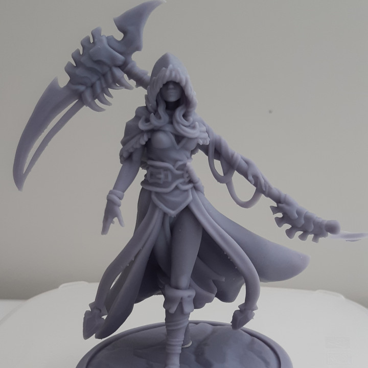 3D Print of Female Reaper Northern by mijnkleinbedrijfje