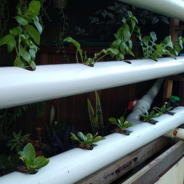 3D Printable Net cup for aquaponics to fit 75mm polypipe by Benjamin ...