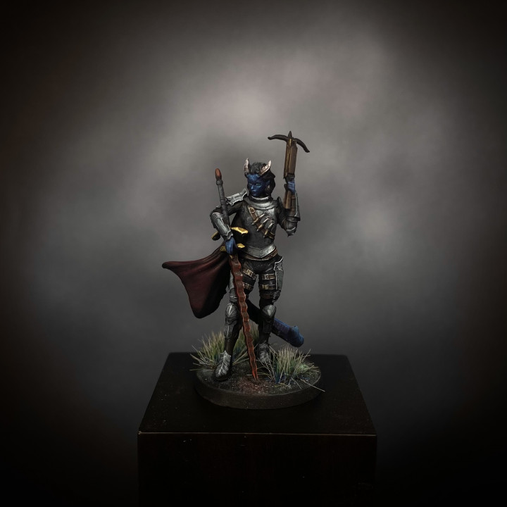 3D Print of Treiys, Obsidian Knight by tenadan