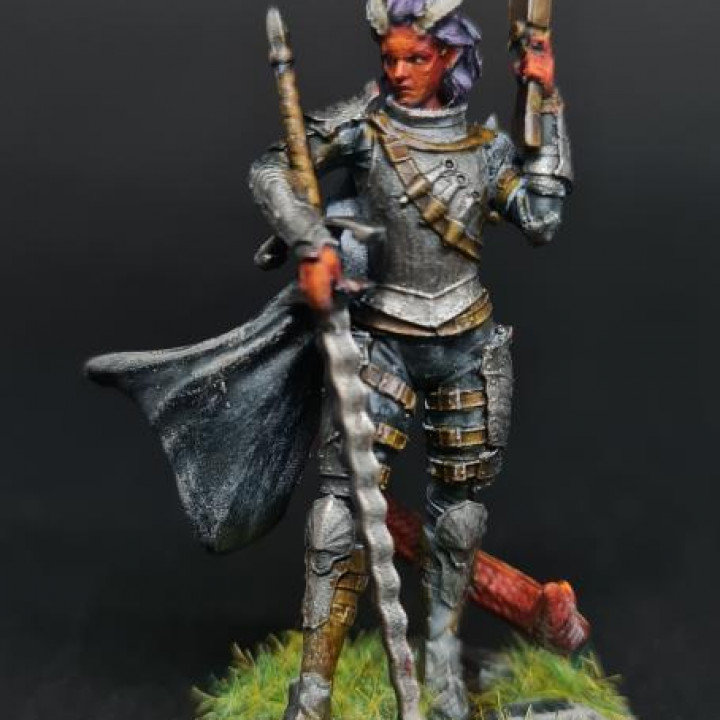 3D Printable Treiys, Obsidian Knight by Mammoth Factory