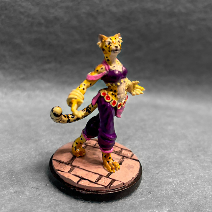 3d Print Of Female Tabaxi Dancer Presupported By Gaiusmanawydden