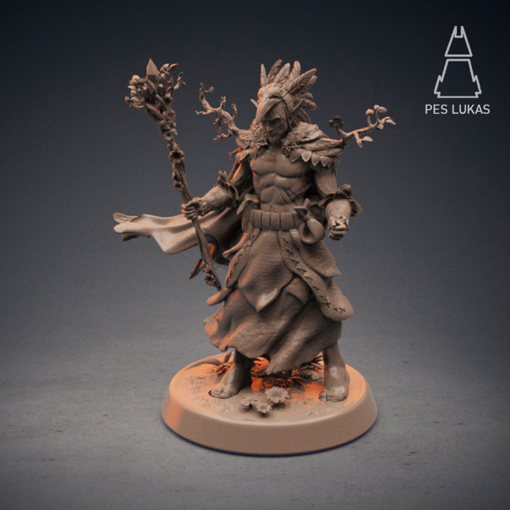 3D Printable Elf Druid by Pes Lukas