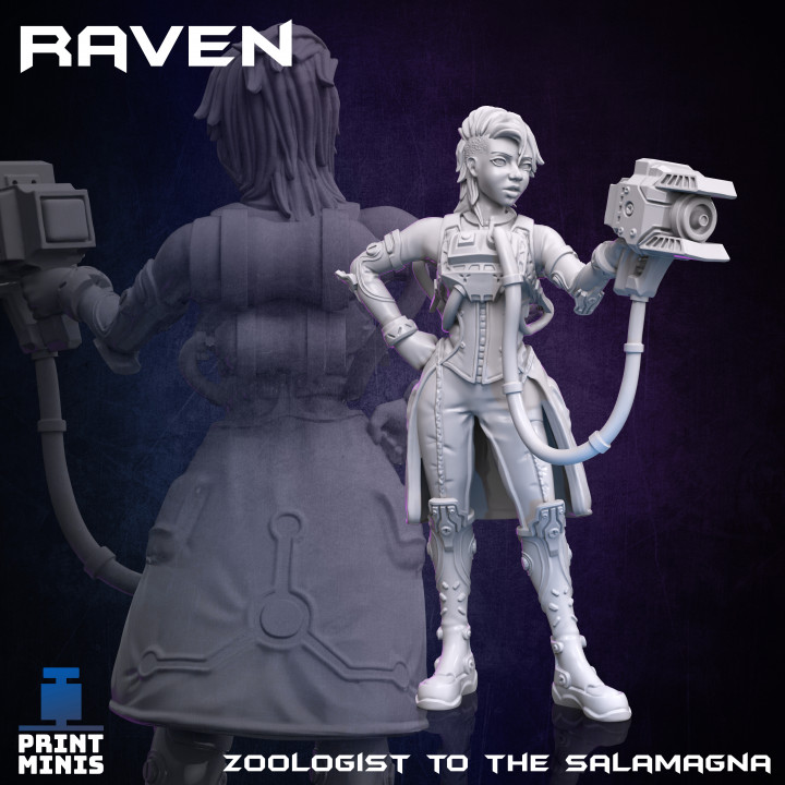 3D Printable Raven - Zoologist - Distillery Collection by Print Minis