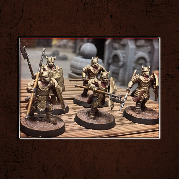 3D Printable Dragon Guard Warriors by Quartermaster3D