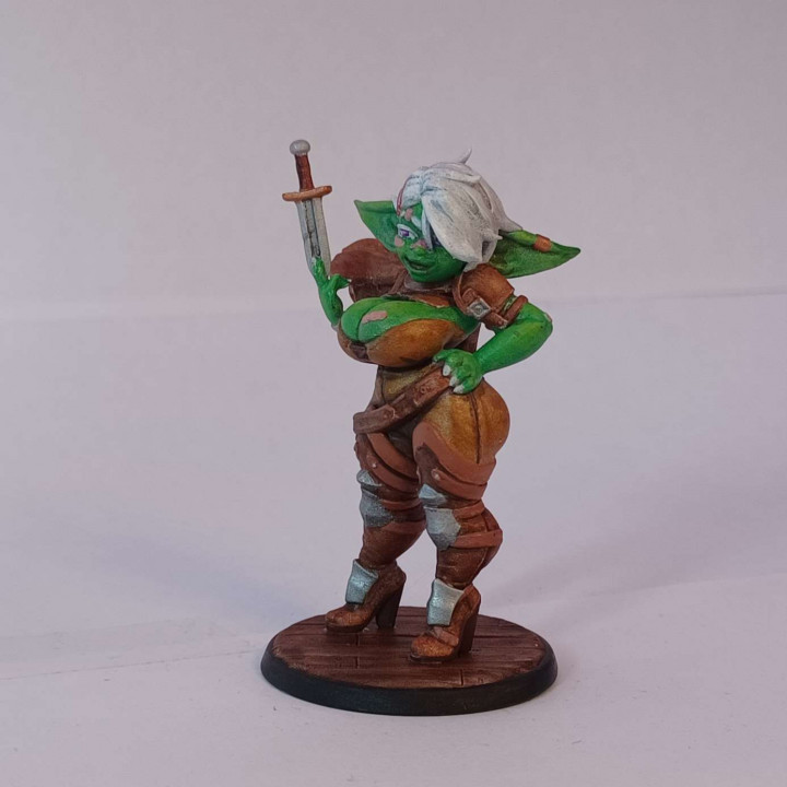 3D Print of Meryl the Goblin Rogue by Captain Steew