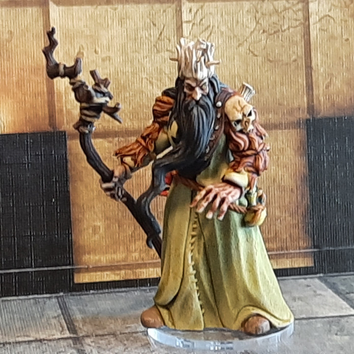 3D Print of Evil druid by RavenousPuma