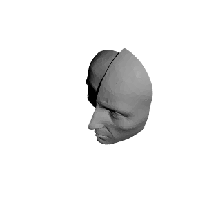 3D Printable HALF FACE HALF SKULL!! by BIGEASYART