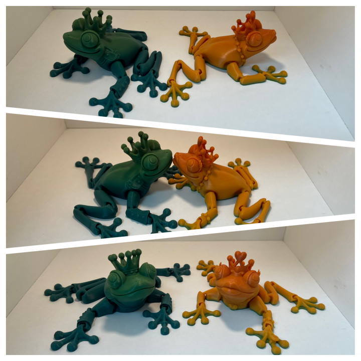 3D Print of Flexi Print-in-Place Frog Prince and Princess Prusa and ...