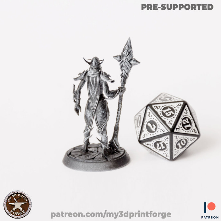 3D Printable Nightborne Elf Female First Arcanist by My3DPrintForge