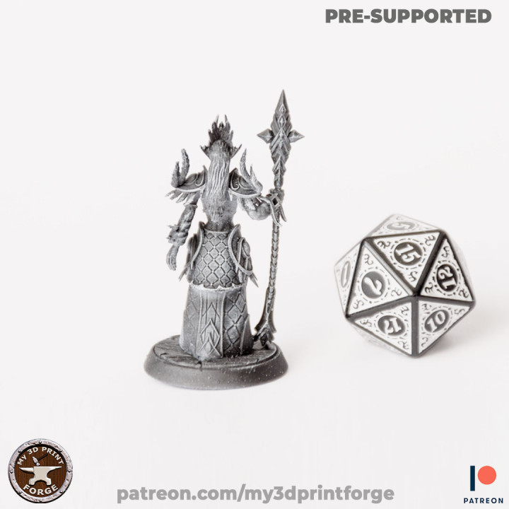 3D Printable Nightborne Elf Female Mage (Two models) by My3DPrintForge