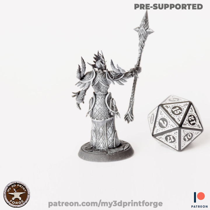 3D Printable Nightborne Elf Mage Two Models by My3DPrintForge