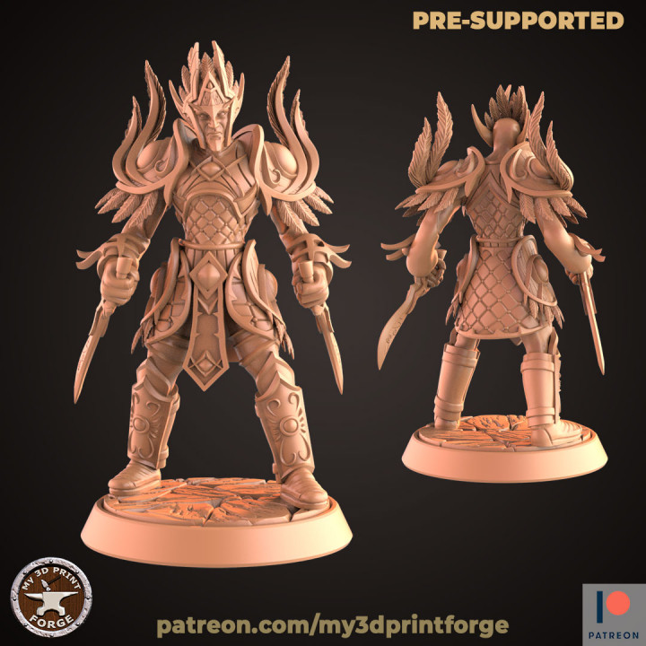 3D Printable Nightborne Elf Rogue by My3DPrintForge