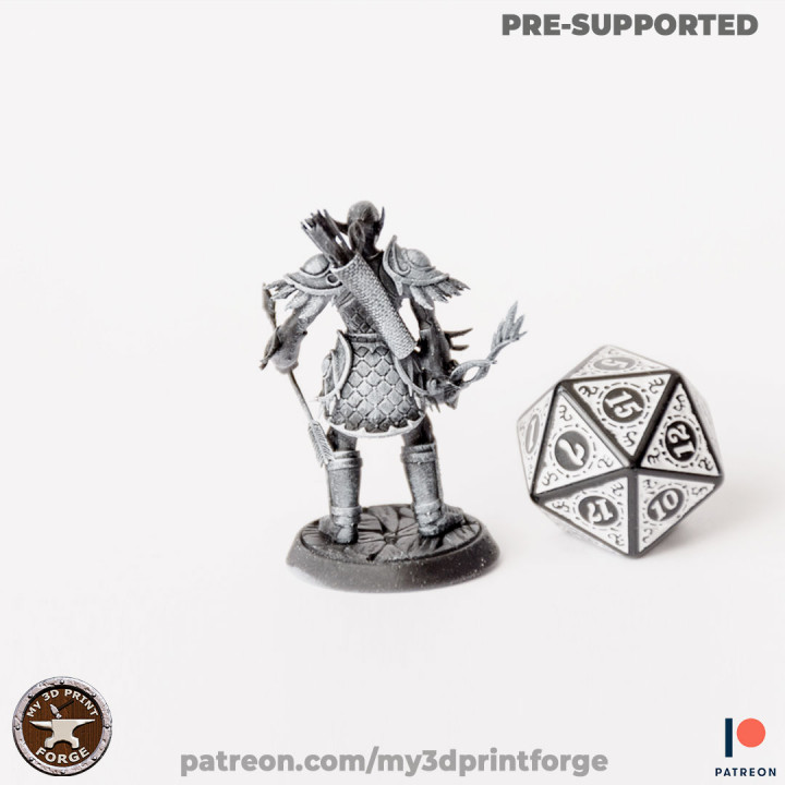3D Printable Nightborne Elf Hunter Two Models by My3DPrintForge