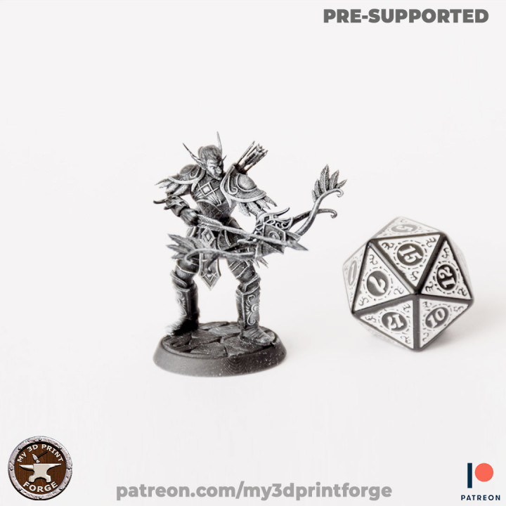 3D Printable Nightborne Elf Hunter Two Models by My3DPrintForge