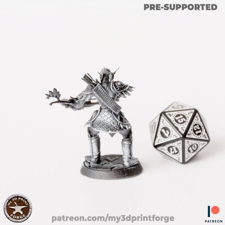 3D Printable Nightborne Elf Hunter Two Models by My3DPrintForge