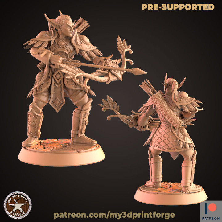 3D Printable Nightborne Elf Hunter Two Models by My3DPrintForge