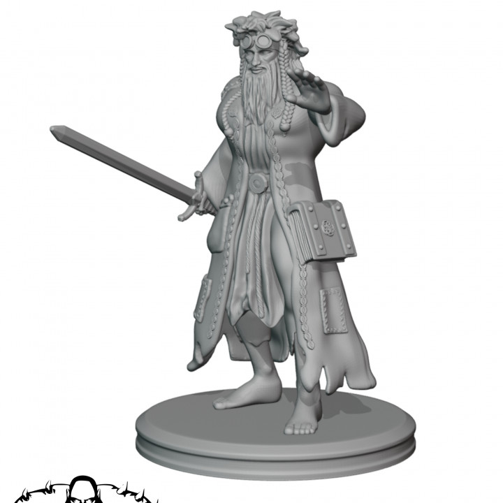 3D Printable Bohemian Bladesinger Wizard by Dale Seaton