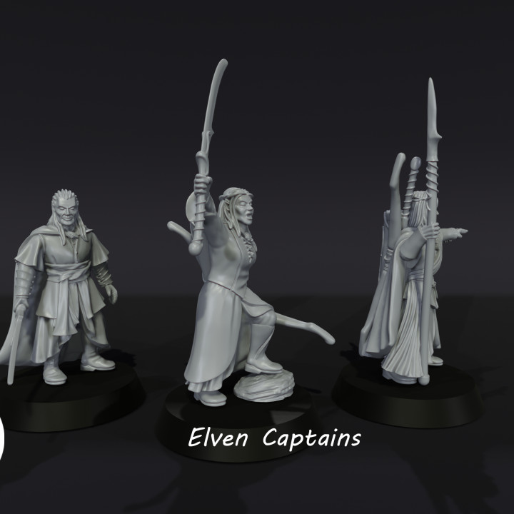 3D Printable Elven Captains by Medbury Miniatures