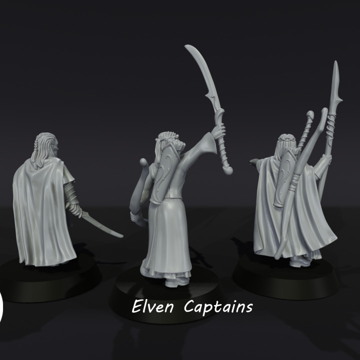 3D Printable Elven Captains by Medbury Miniatures
