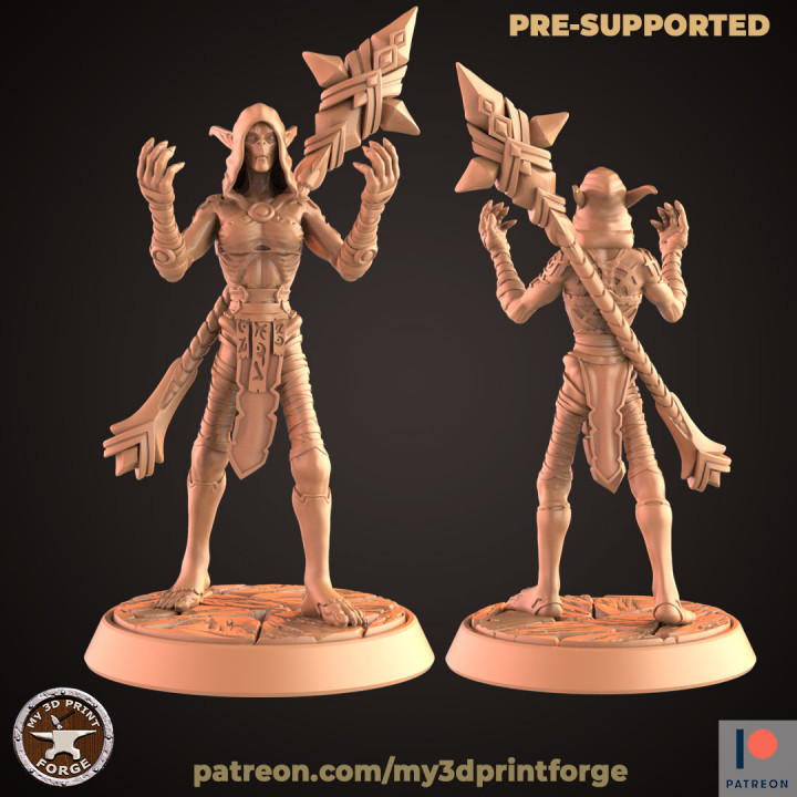 3D Printable Nightfallen Elf First Arcanist Two Models by My3DPrintForge