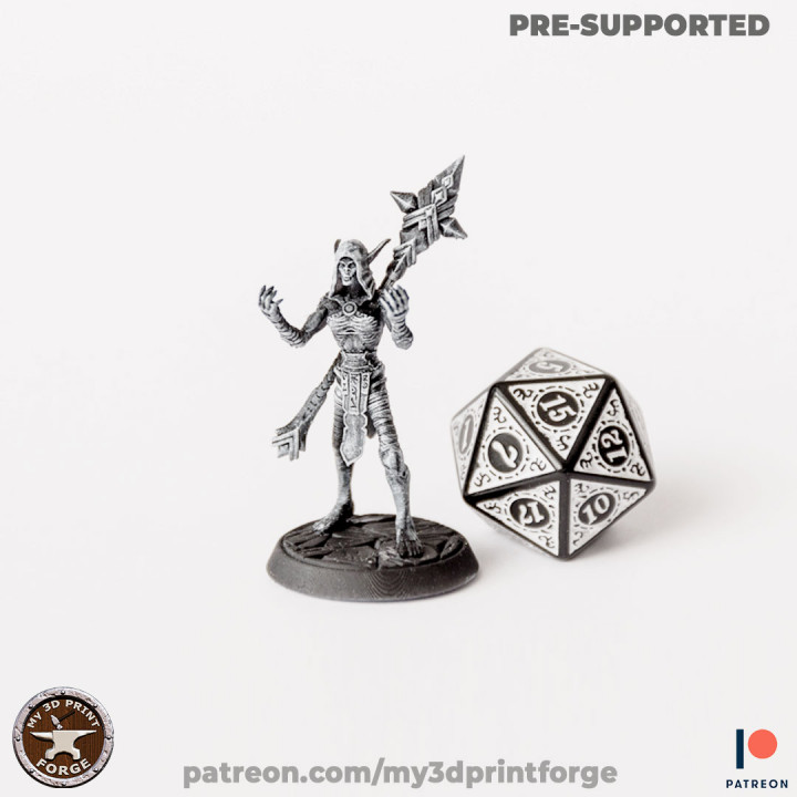 3D Printable Nightfallen Elf First Arcanist Two Models by My3DPrintForge