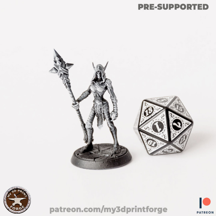 3D Printable Nightfallen Elf First Arcanist Two Models by My3DPrintForge