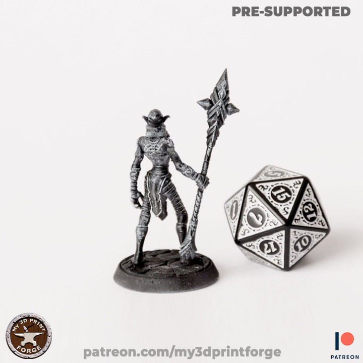 3D Printable Nightfallen Elf First Arcanist Two Models by My3DPrintForge