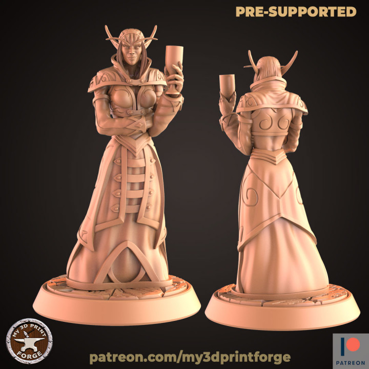 3D Printable Nightborne Elf Female Merchant Two Models by My3DPrintForge