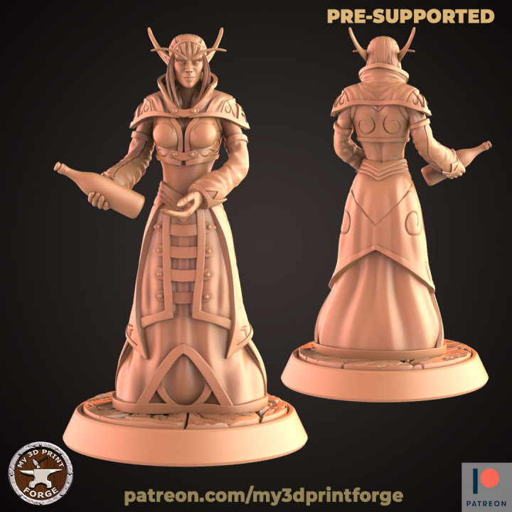 3D Printable Nightborne Elf Female Merchant Two Models by My3DPrintForge
